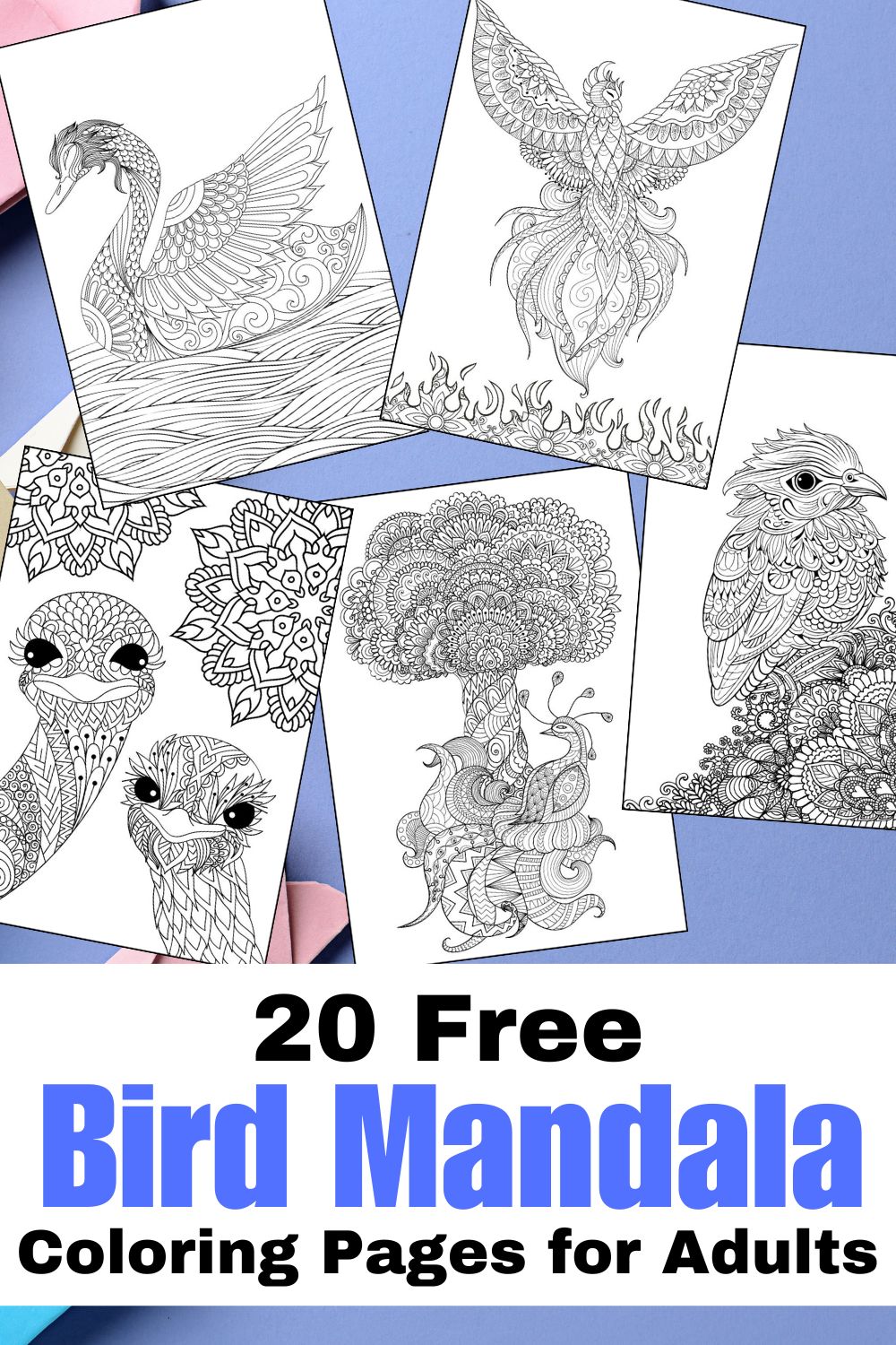 Free Bird Mandala Printable Coloring Pages for Adults - Aunty Michelle's