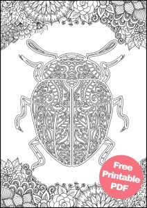 Free Insect Mandala Printable Coloring Pages for Adults - Aunty Michelle's