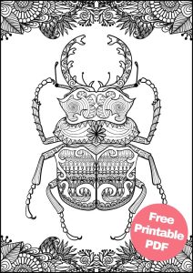 Free Insect Mandala Printable Coloring Pages for Adults - Aunty Michelle's