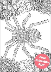 Free Insect Mandala Printable Coloring Pages for Adults - Aunty Michelle's