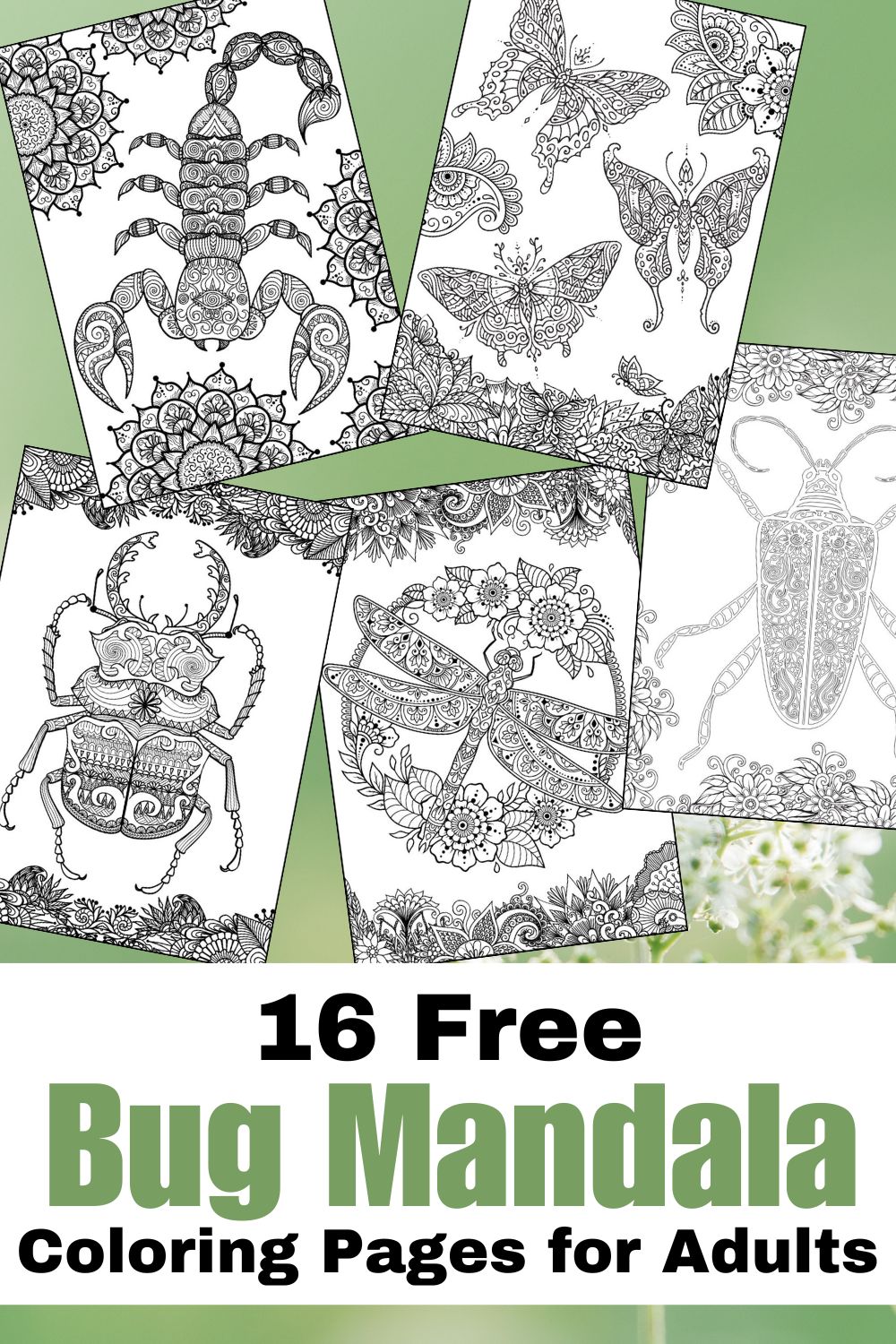 Free Insect Mandala Printable Coloring Pages for Adults - Aunty Michelle's