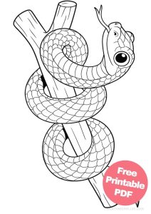 Free Printable Reptile Coloring Pages for Kids - Aunty Michelle's